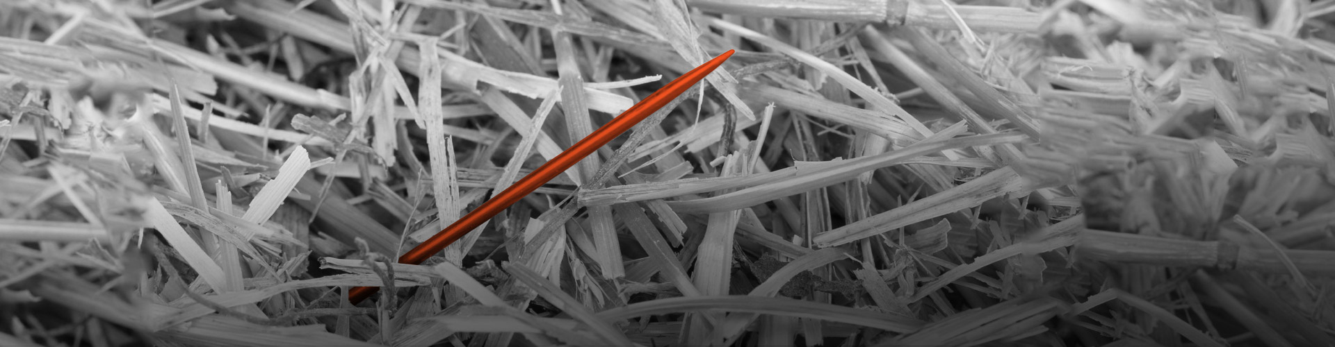 The Best Skip Tracing Tool With The Most Data | Delvepoint